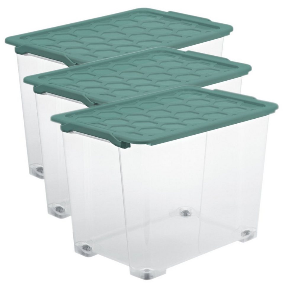 Rotho Aufbewahrungsbox Evo Safe Keeping 3er Set Aufbewahrungsbox 65l