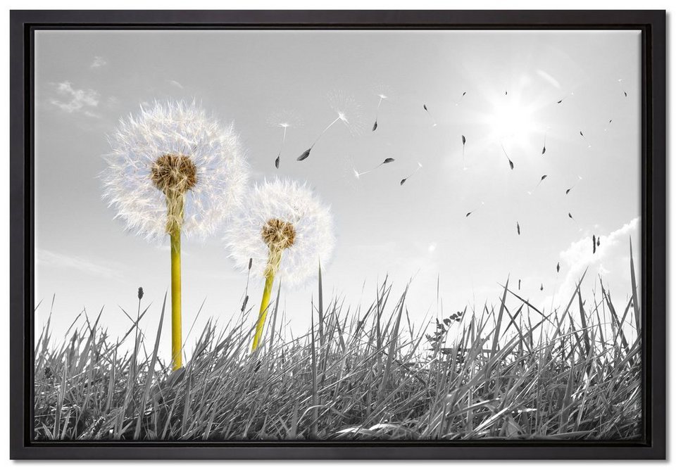 Pixxprint Leinwandbild Pusteblumen Auf Wiese Wanddekoration 1 St