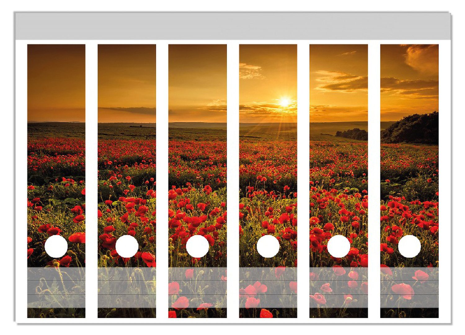 Wallario Etiketten Mohnblumenwiese Bei Sonnenuntergang Am Abend