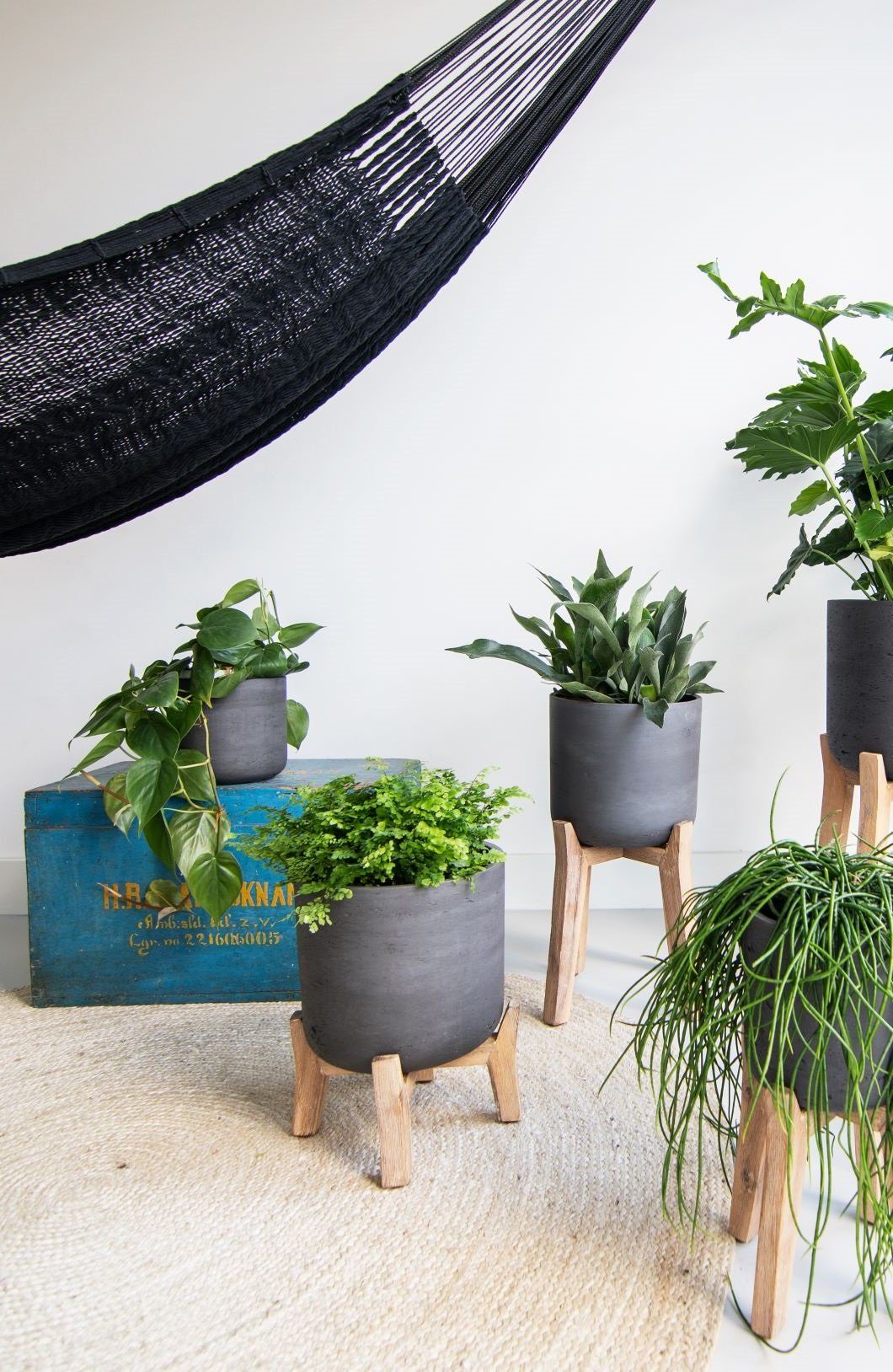 finestgreen Pflanzkübel Charlie Feet Low, Blumenkübel