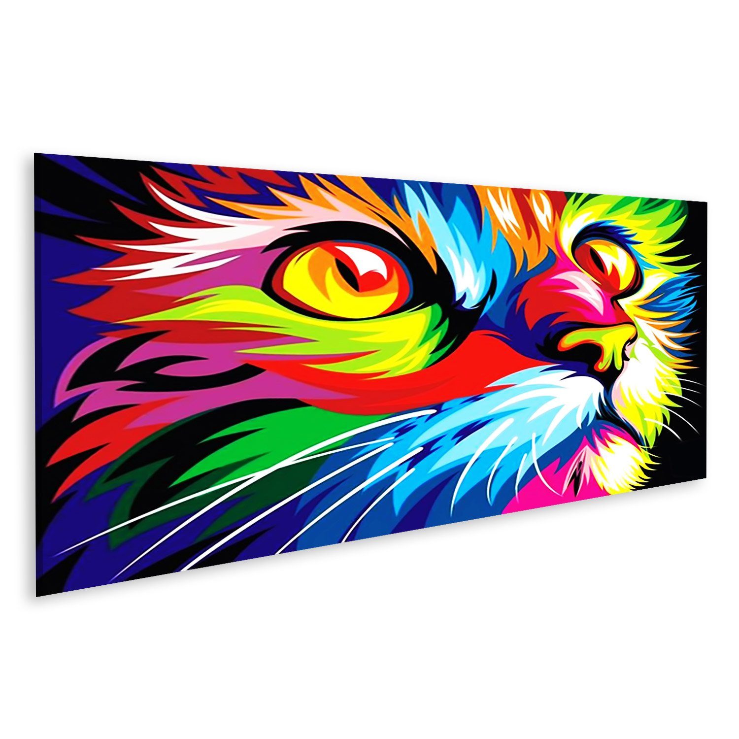 Islandburner Leinwandbild Bild Auf Leinwand Bunte Katze Farbenfroh