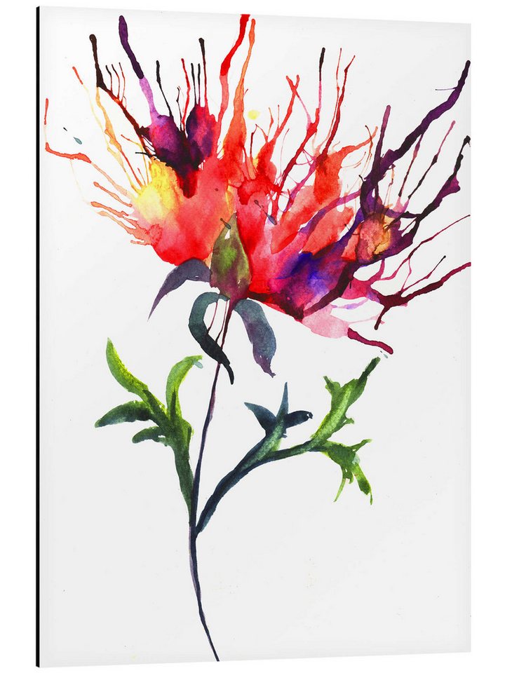 Posterlounge Alu Dibond Druck Editors Choice Pfingstrose Wohnzimmer