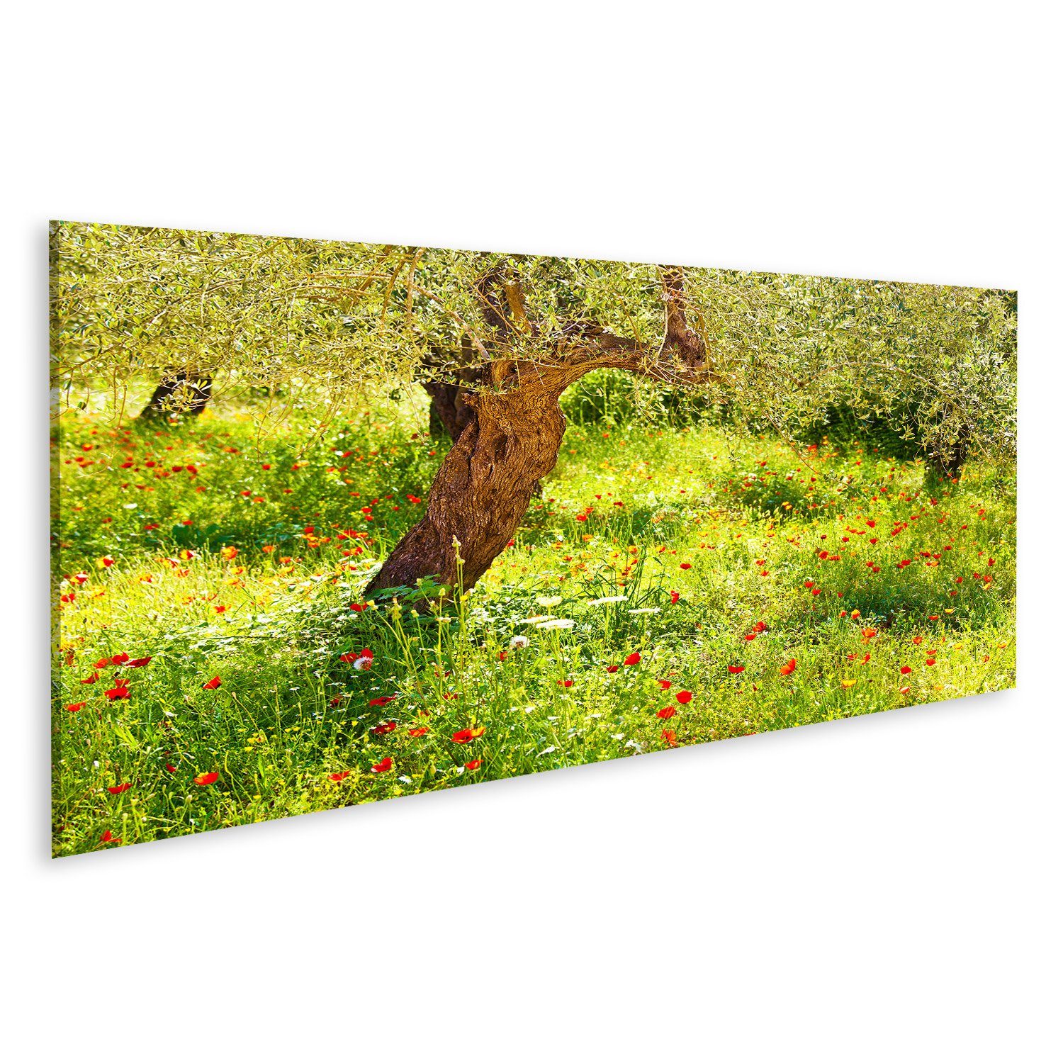 islandburner Leinwandbild Bild auf Leinwand Mohnblumen Wiese Wandbild Poster Kunstdruck Bilder