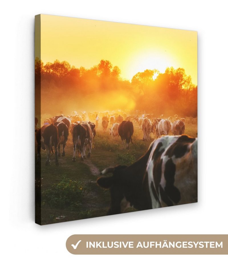 OneMillionCanvasses® Leinwandbild Kühe - Sonnenuntergang - Wiese ... OneMillionCanvasses® Leinwandbild Kühe - Sonnenuntergang - Wiese ...