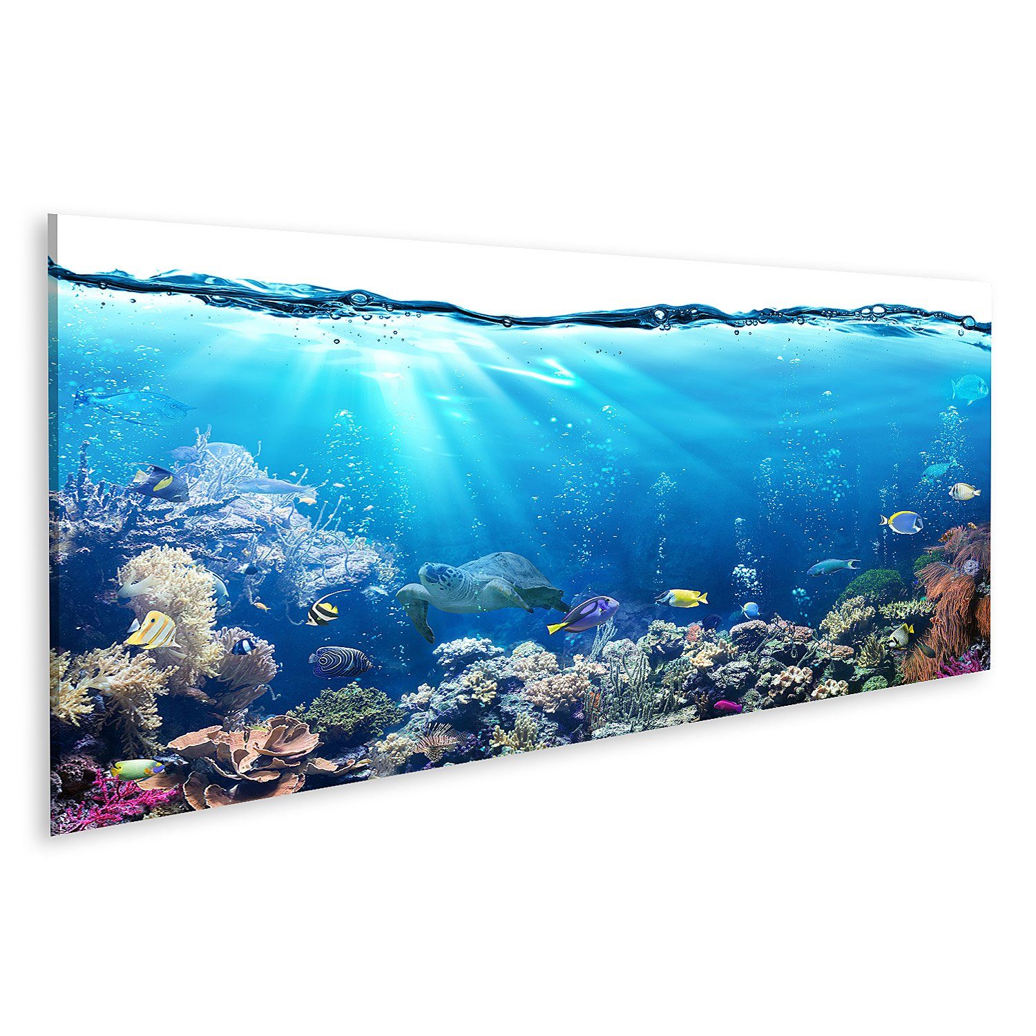 islandburner Leinwandbild Bild auf Leinwand Unterwasser Szene Mit Riff Und Tropischen Fischen W