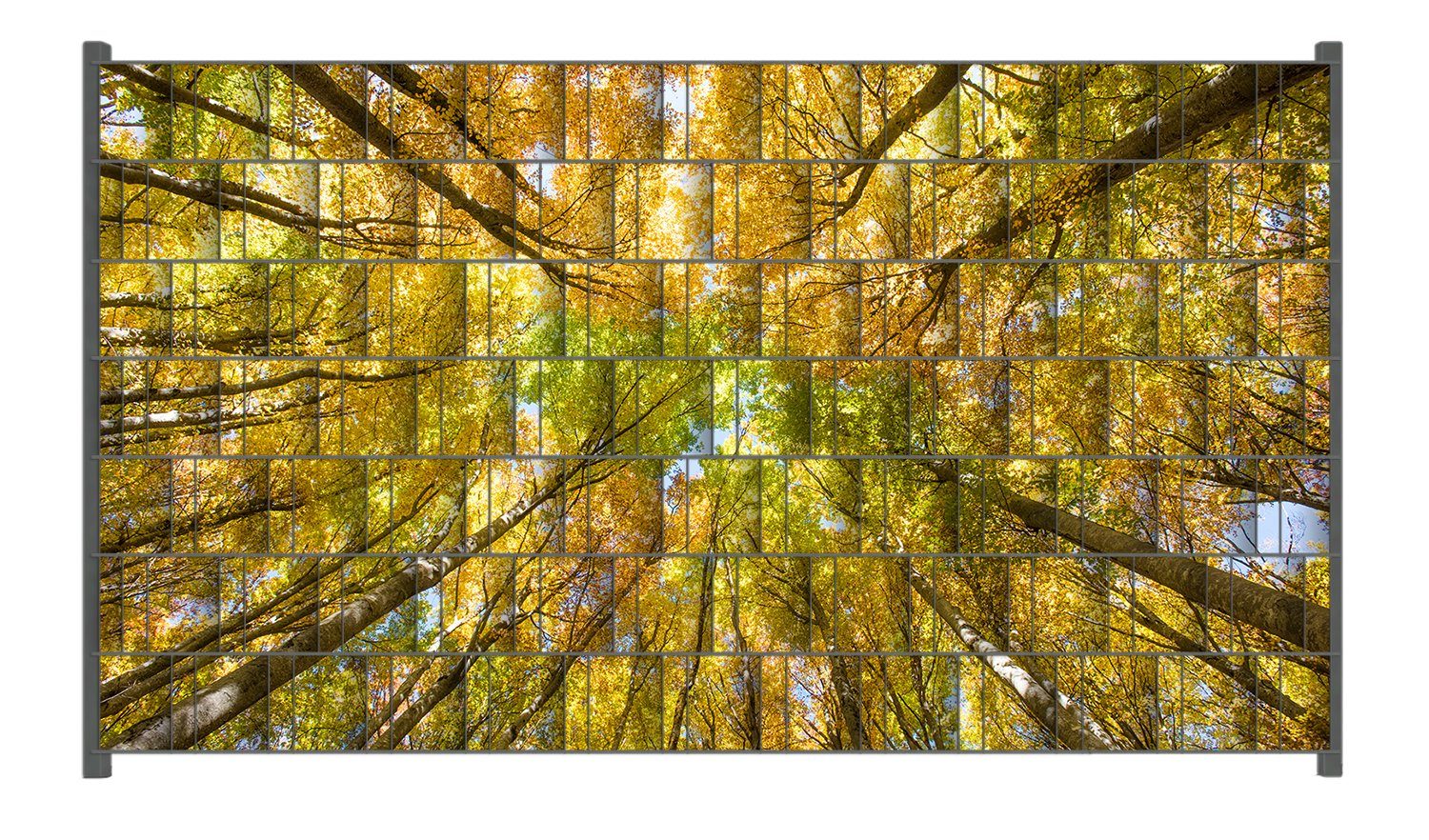 Wallario Sichtschutzstreifen Goldener Herbst Bunte Blätter Von Unten