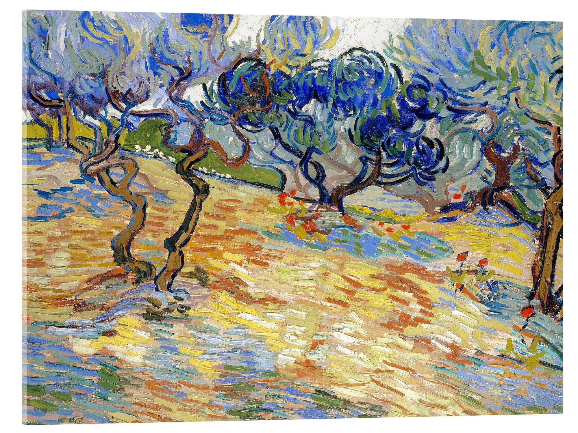Posterlounge Acrylglasbild Vincent Van Gogh Olivenbäume Ii Wohnzimmer