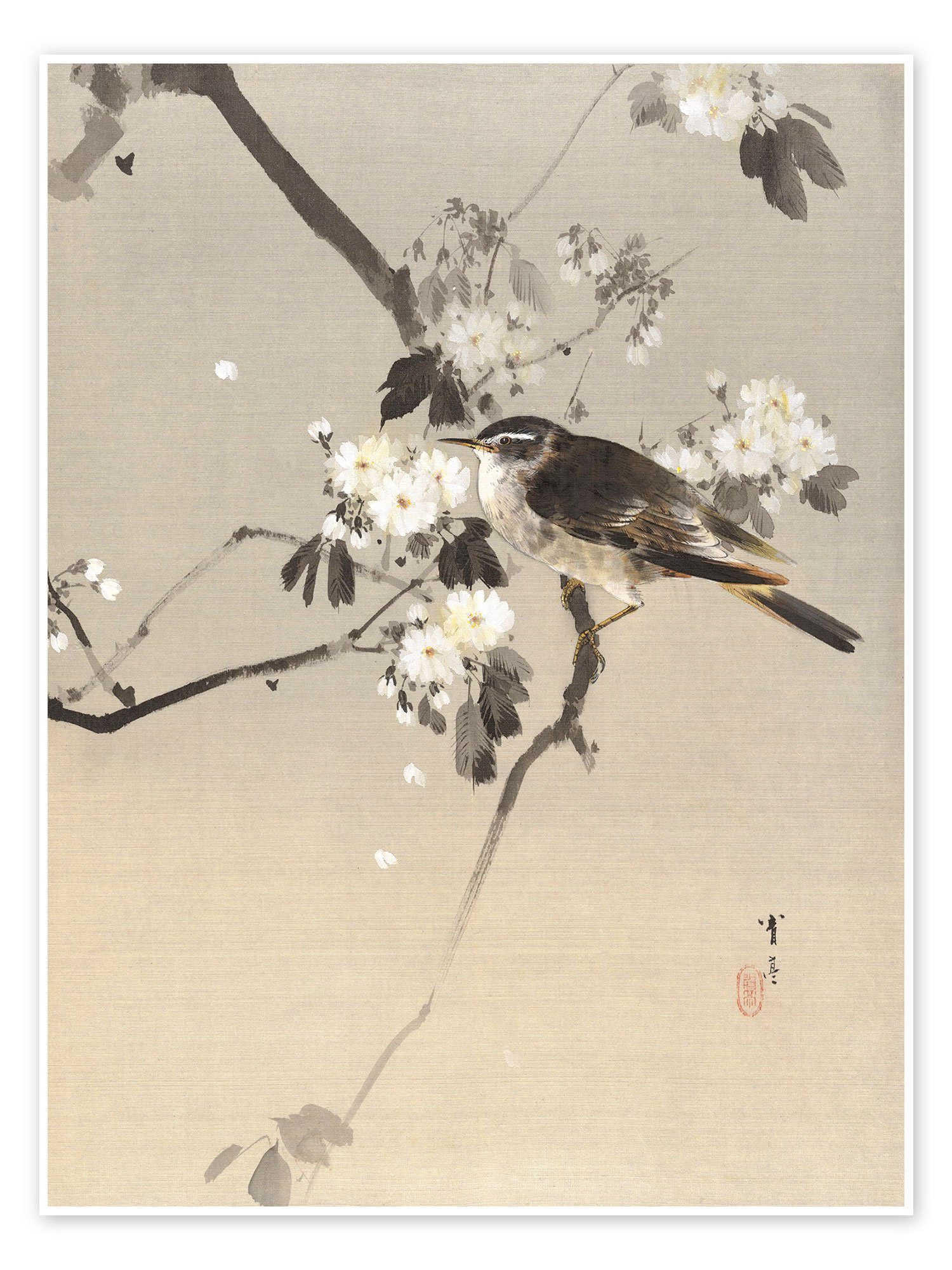 Posterlounge Poster Watanabe Seitei Vogel Auf Einem Blühenden Zweig