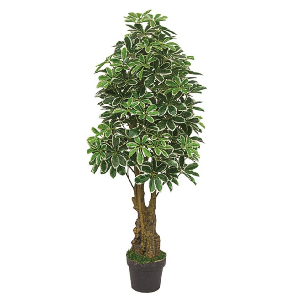 Kunstbaum Schefflera Arboricola Aralie Kunstpflanze Künstliche Pflanze ... Kunstbaum Schefflera Arboricola Aralie Kunstpflanze Künstliche Pflanze ...