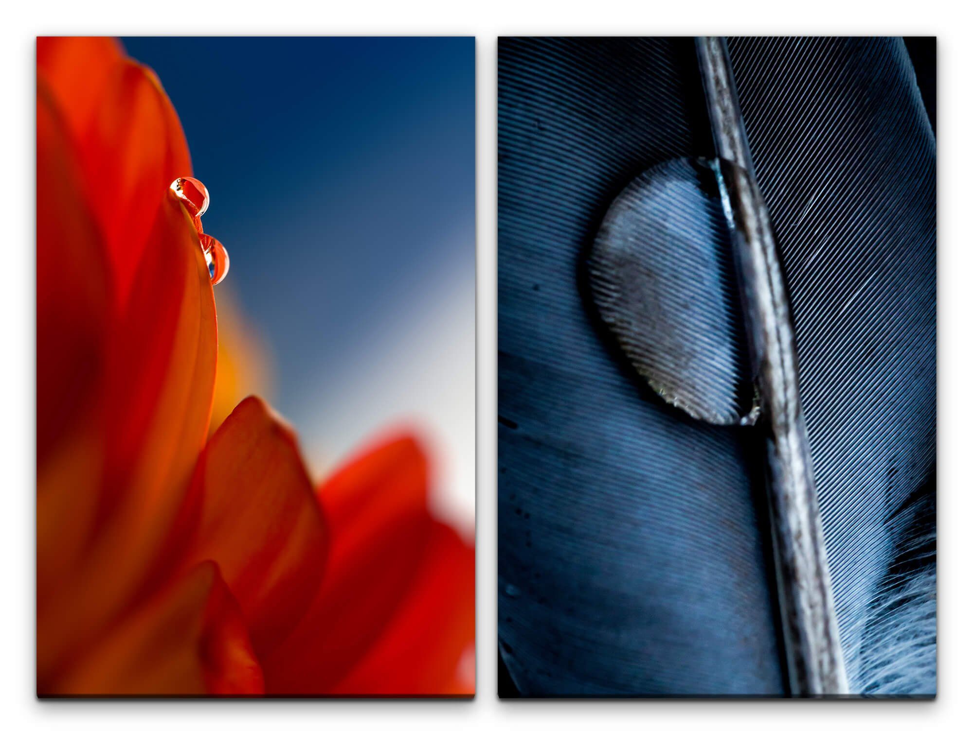 Sinus Art Leinwandbild 2 Bilder Je 60x90cm Blume Feder Rot