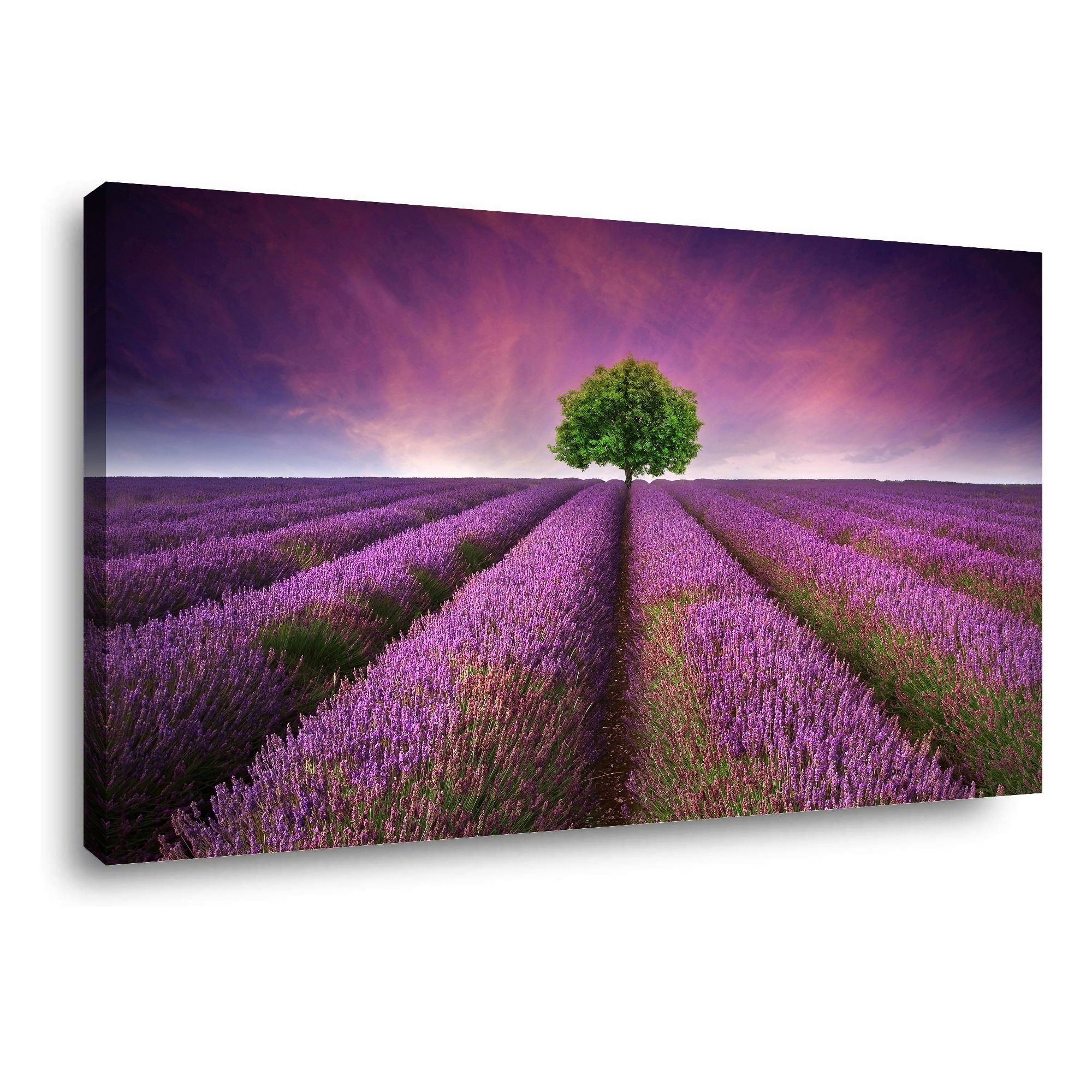 Visario Wandbild Visario Bilder 80x60 cm fertig gerahmt aufhängfertig ...