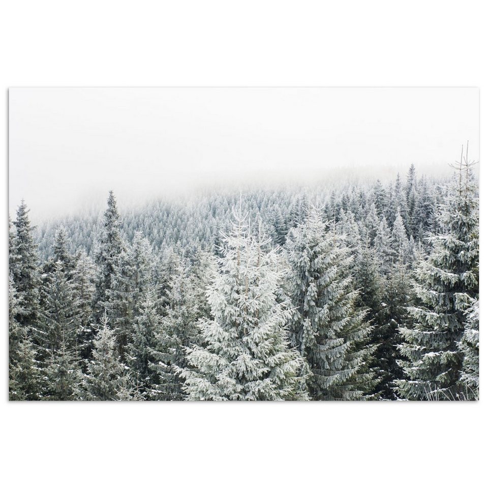Muchowow Poster Wald Schnee Winter Jahreszeiten Tannenbaum 1