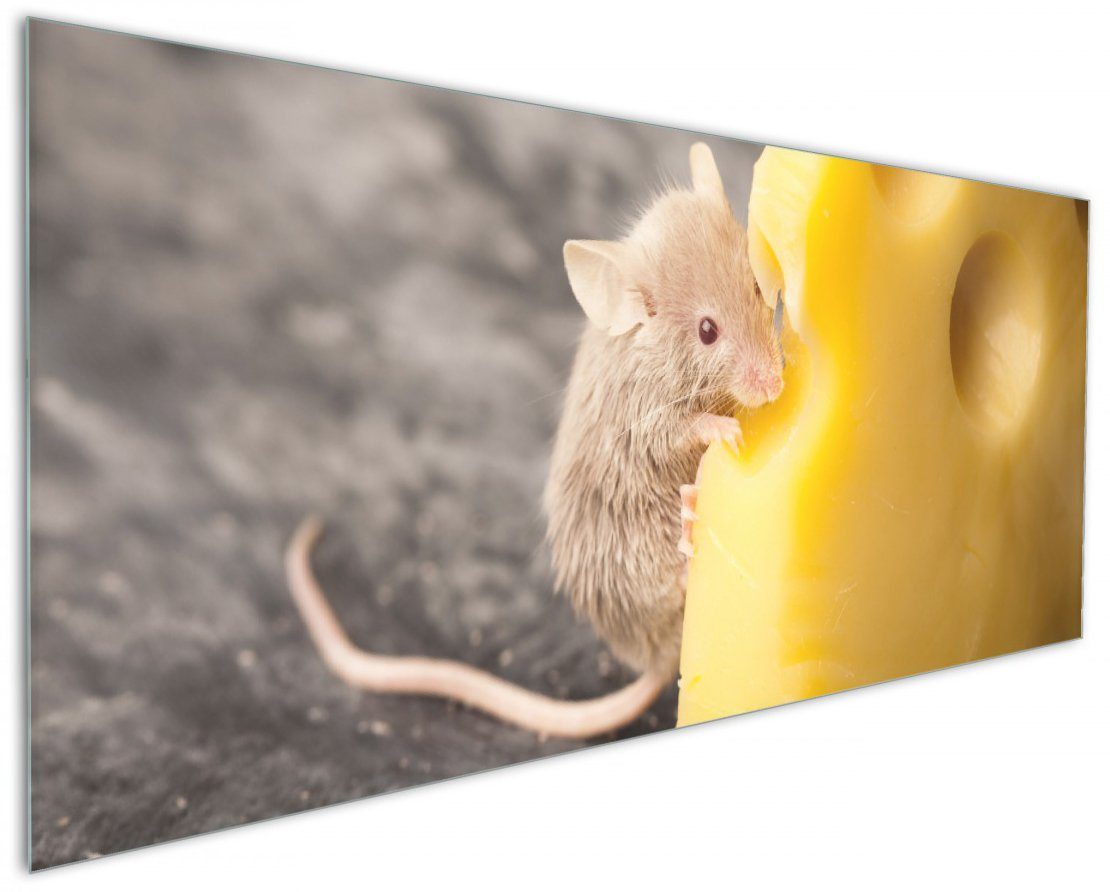 Wallario Küchenrückwand Süße Maus Knabbert An Einem Käse In Der Küche
