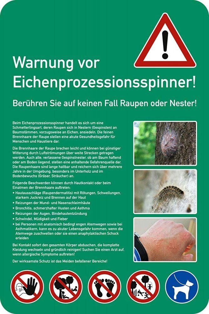 König Werbeanlagen Hinweisschild »Schild Warnung vor Eichenprozessionsspinner! Alu 500 x 750 mm ...