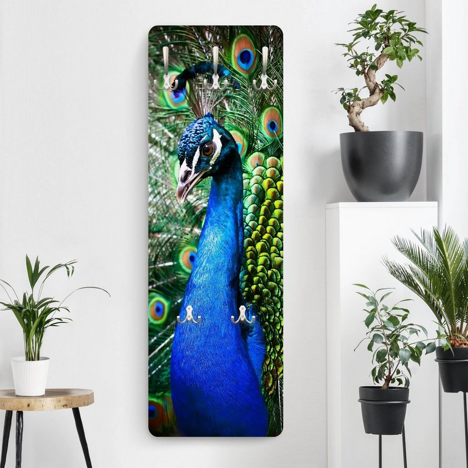 Bilderdepot24 Garderobenpaneel Blau Tiere Edler Pfau Design