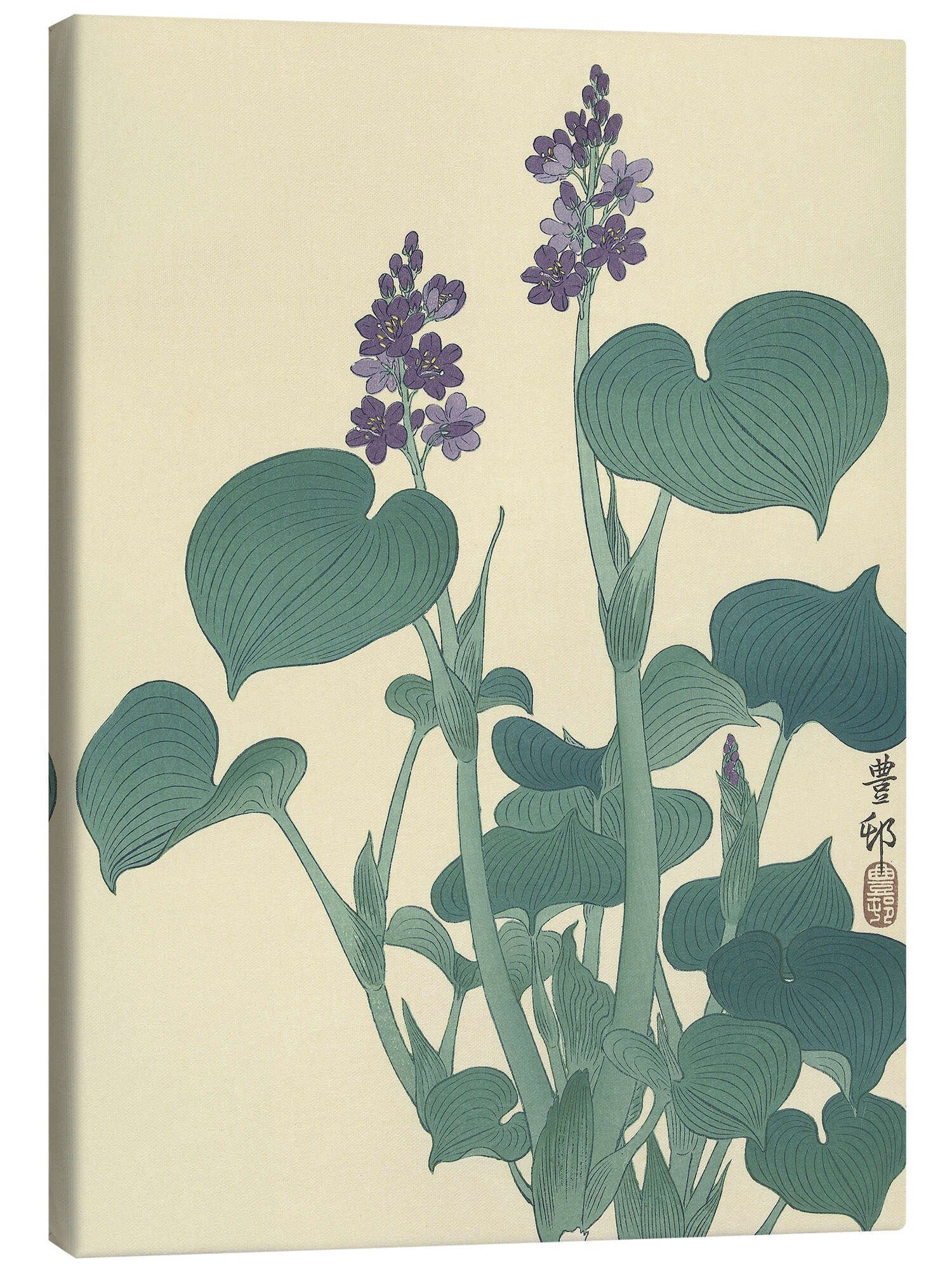 Posterlounge Leinwandbild Ohara Koson Blühende Hosta Ca 1900 Malerei