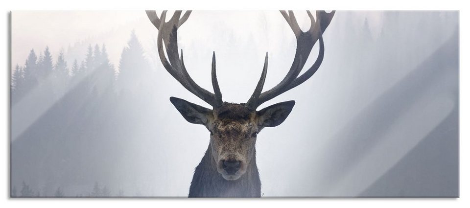 Pixxprint Glasbild Nahaufnahme Hirsch Im Nebelwald Abstrakt