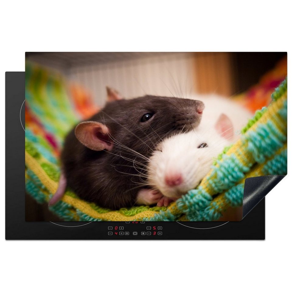 Muchowow Herdblende Abdeckplatte Zwei Ratten In Einer Decke Vinyl 1