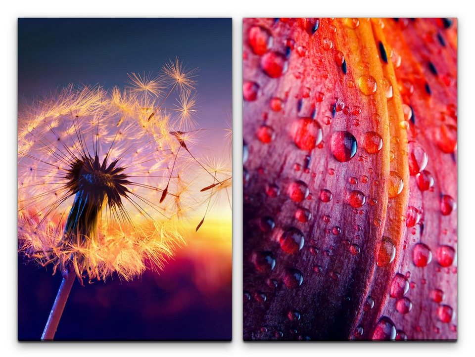 Sinus Art Leinwandbild 2 Bilder Je 60x90cm Pusteblume Sommer