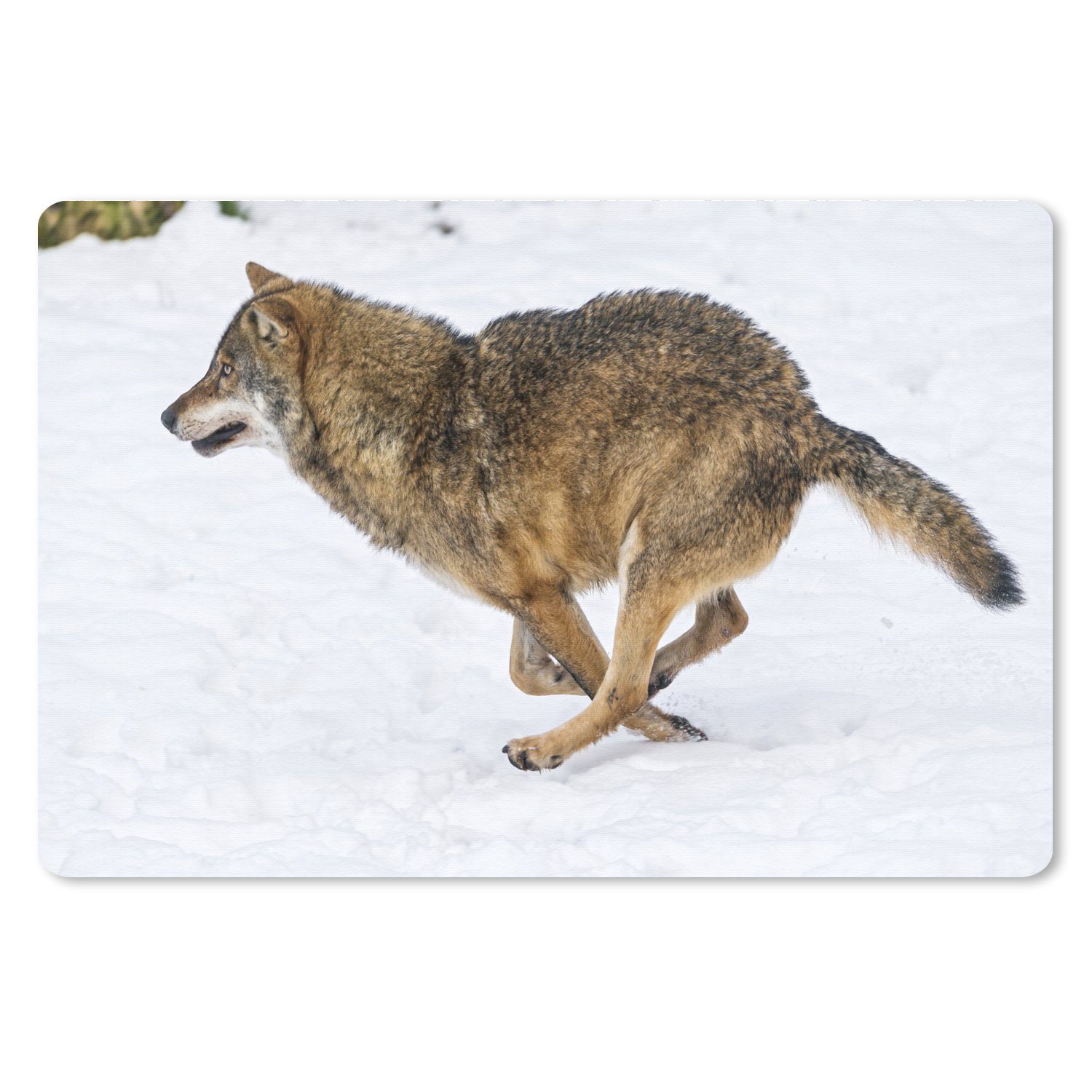 Wolf Mauspads online kaufen | OTTO