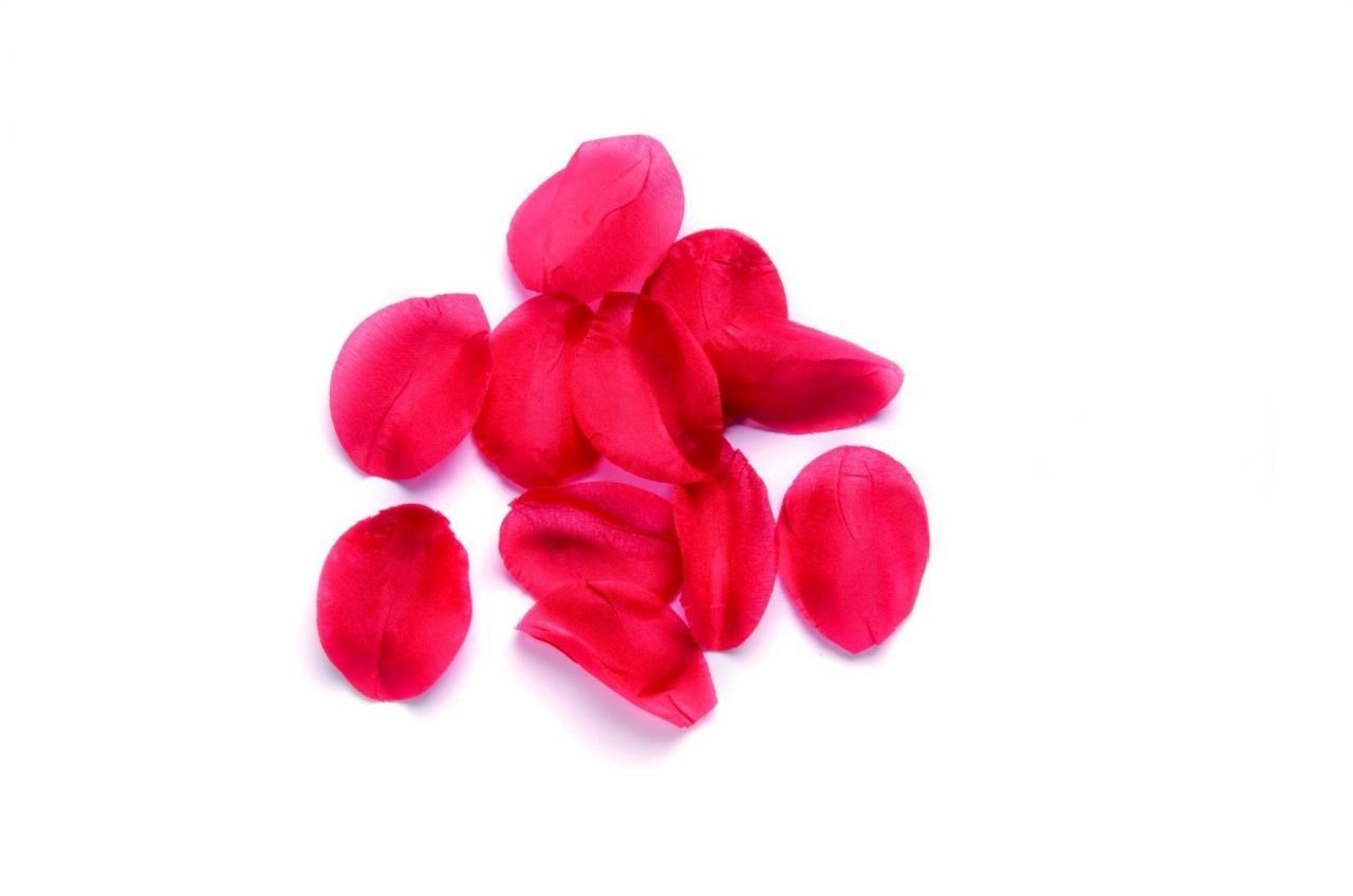 Glorex Bastelnaturmaterial Glorex Rosenblütenblätter Rot 100 Stück