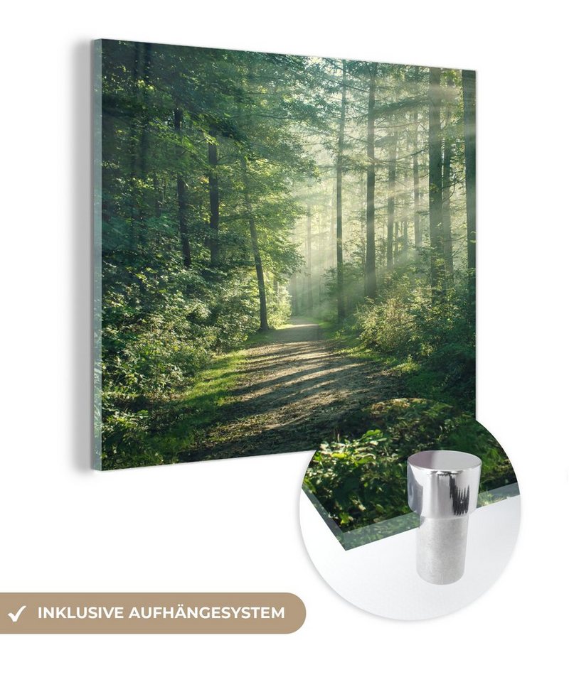 Muchowow Acrylglasbild Wald Weg Sonne Bäume Grün Natur 1 St