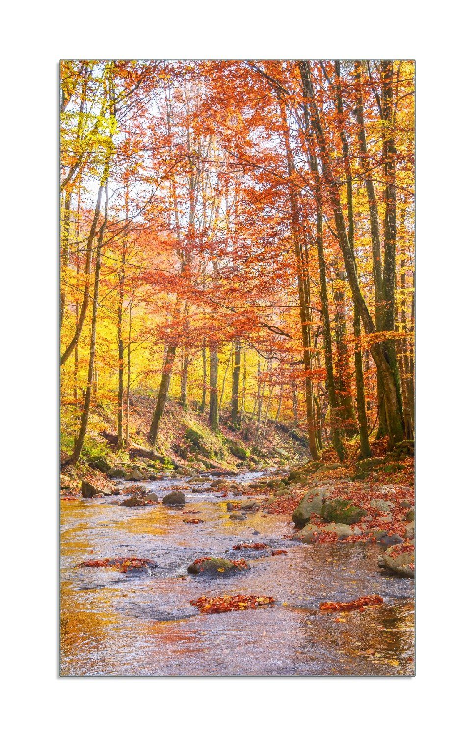Wallario Herd Abdeckplatte Herbstwald Mit Bach Esg Sicherheitsglas