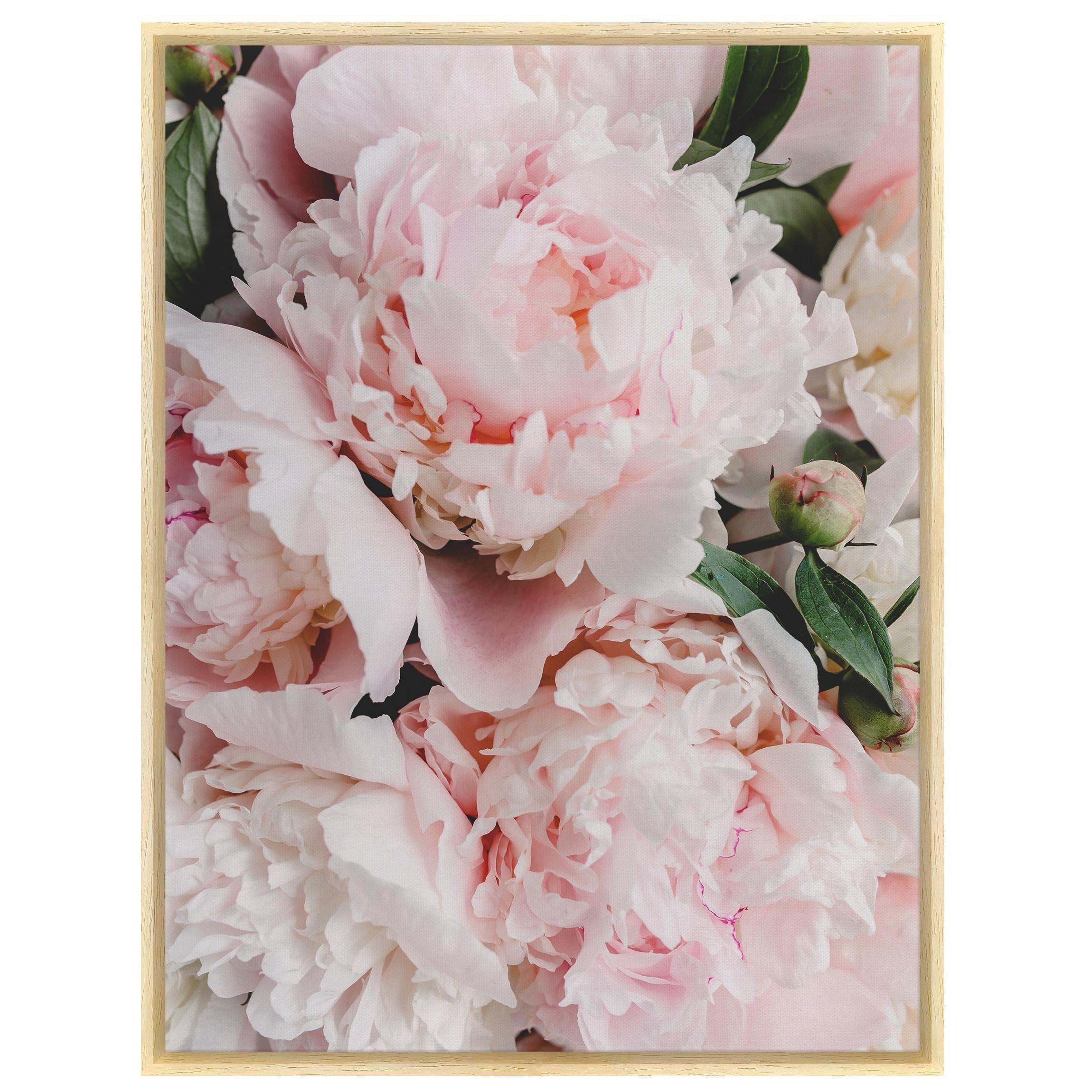 Bilderdepot24 Leinwandbild Blumen Natur Modern Floral Pfingstrosen rosa Bild auf Leinwand XXL ...