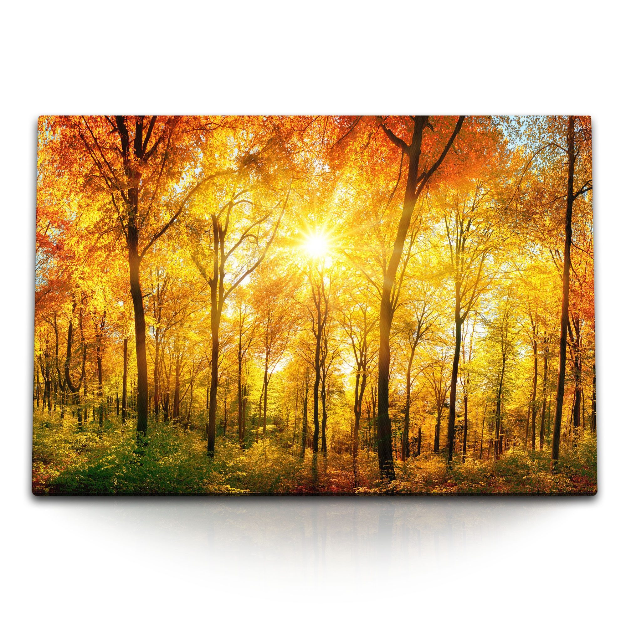 Sinus Art Leinwandbild 120x80cm Wandbild Auf Leinwand Wald Herbst