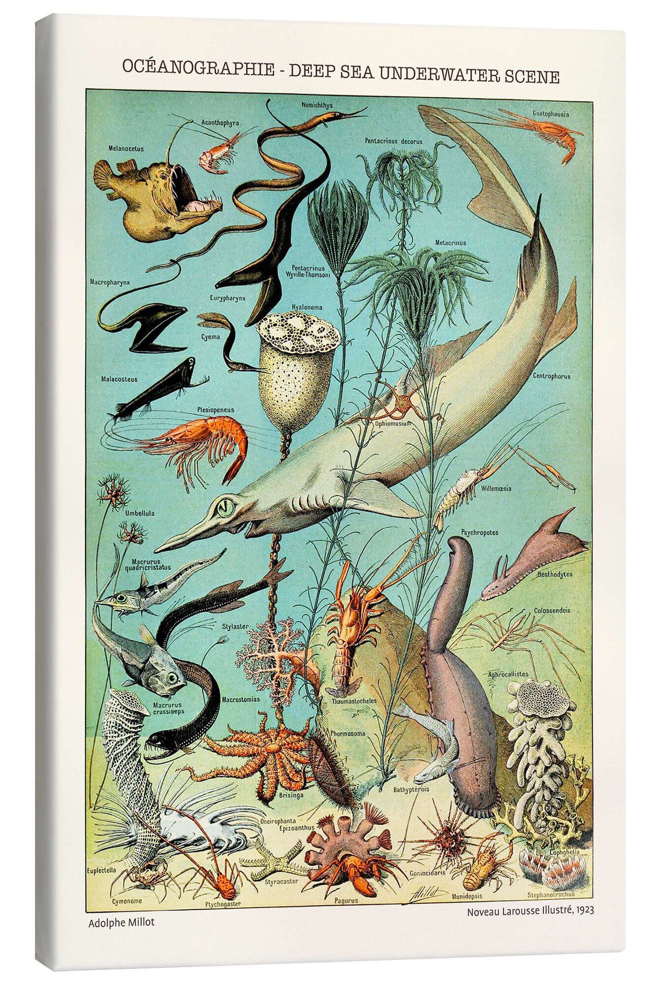 Posterlounge Leinwandbild Adolphe Millot Tiefsee Unterwasserszene