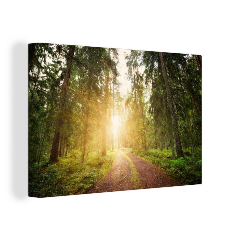 Onemillioncanvasses® Leinwandbild Wald Baum Sonne 1 St Wandbild