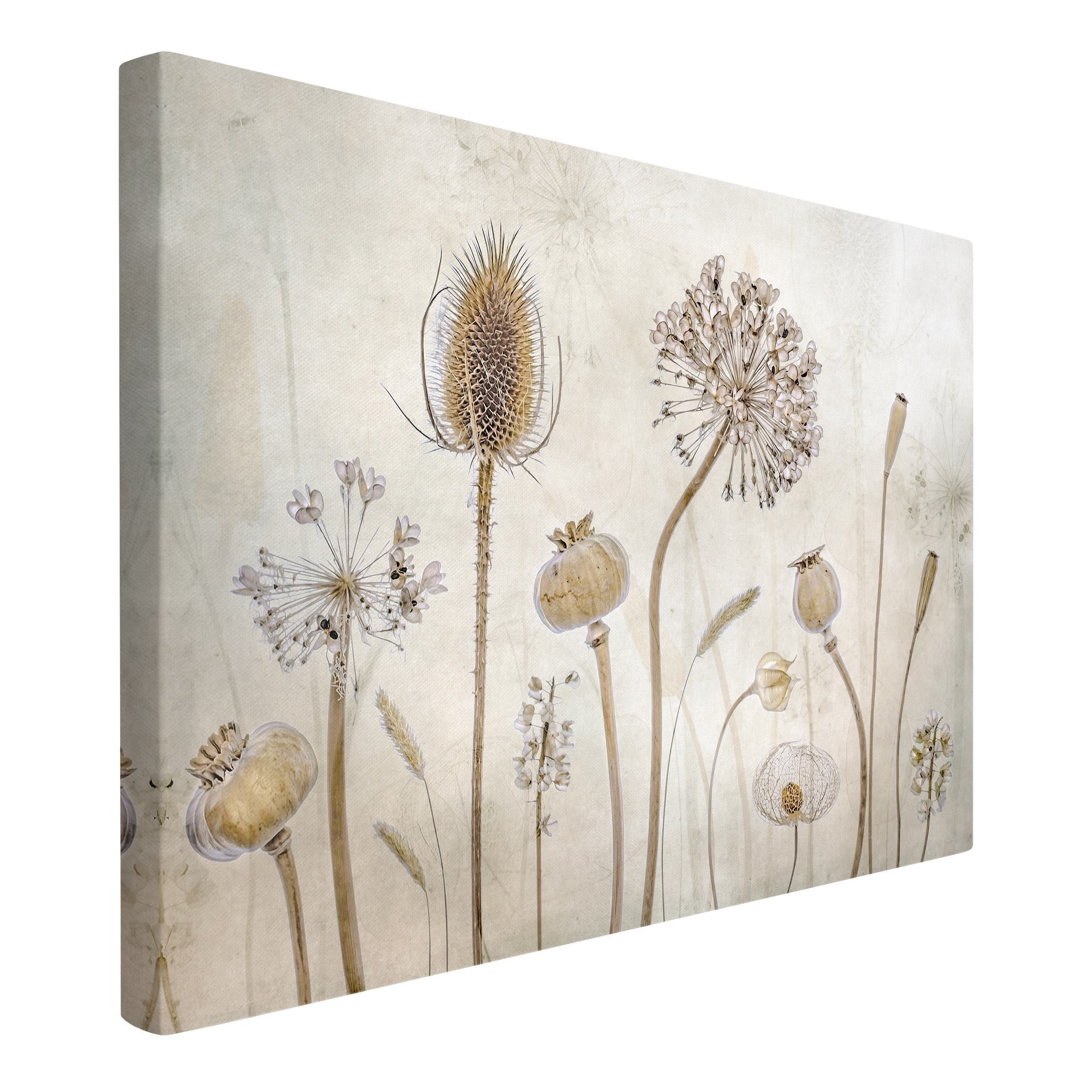 Bilderdepot24 Online-Shop | OTTO