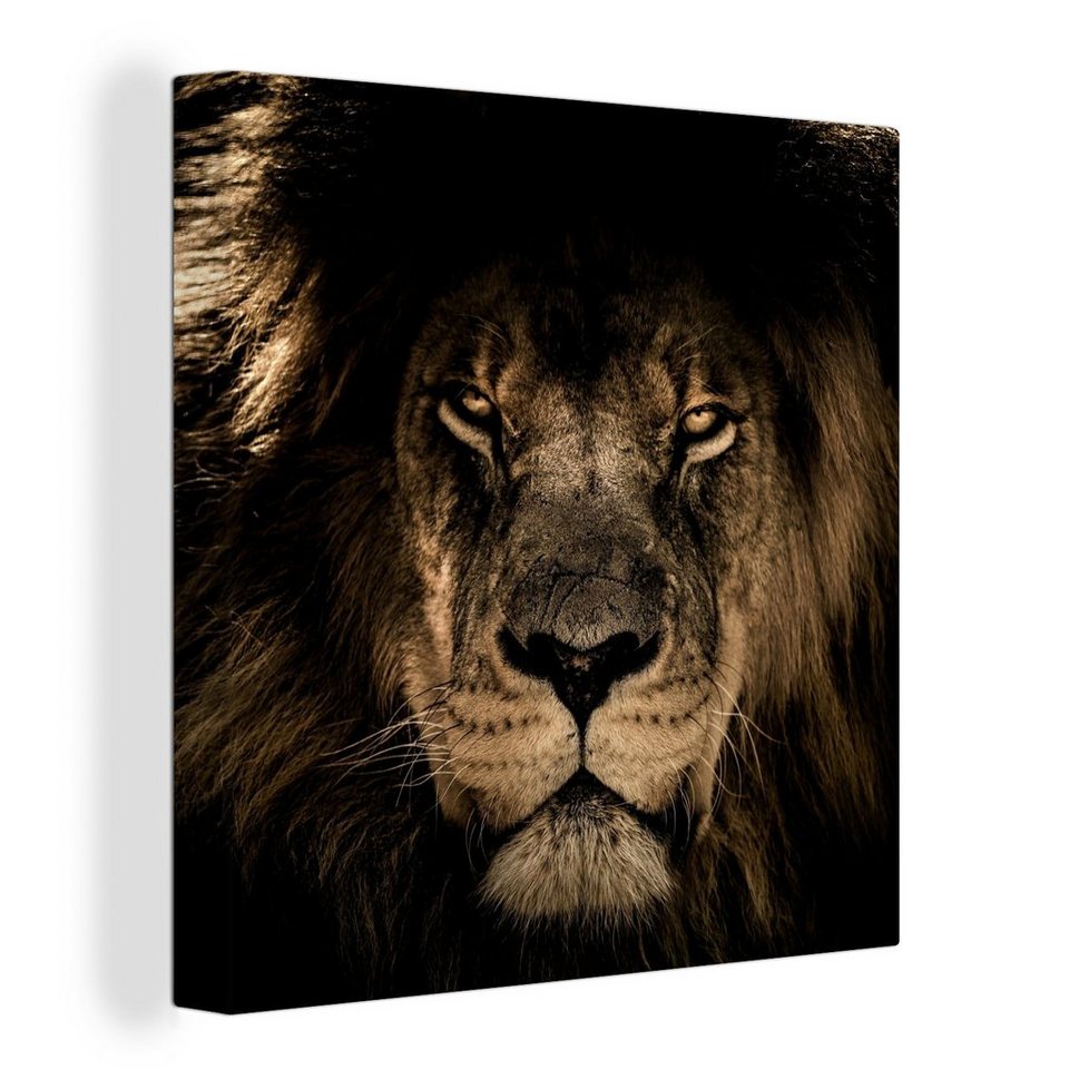 Onemillioncanvasses® Leinwandbild Löwe Tiere Schwarz Porträt