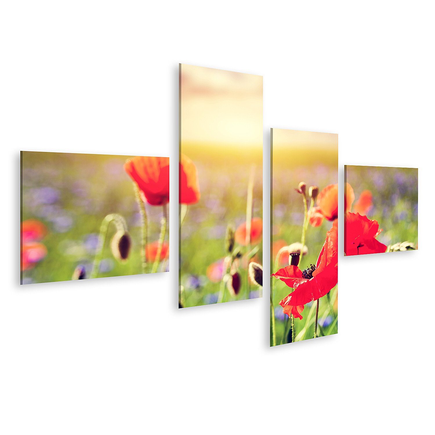 islandburner Leinwandbild Bild auf Leinwand Mohnfeld Mohnblumen Nahaufnahme. Sommer-Landschaft b