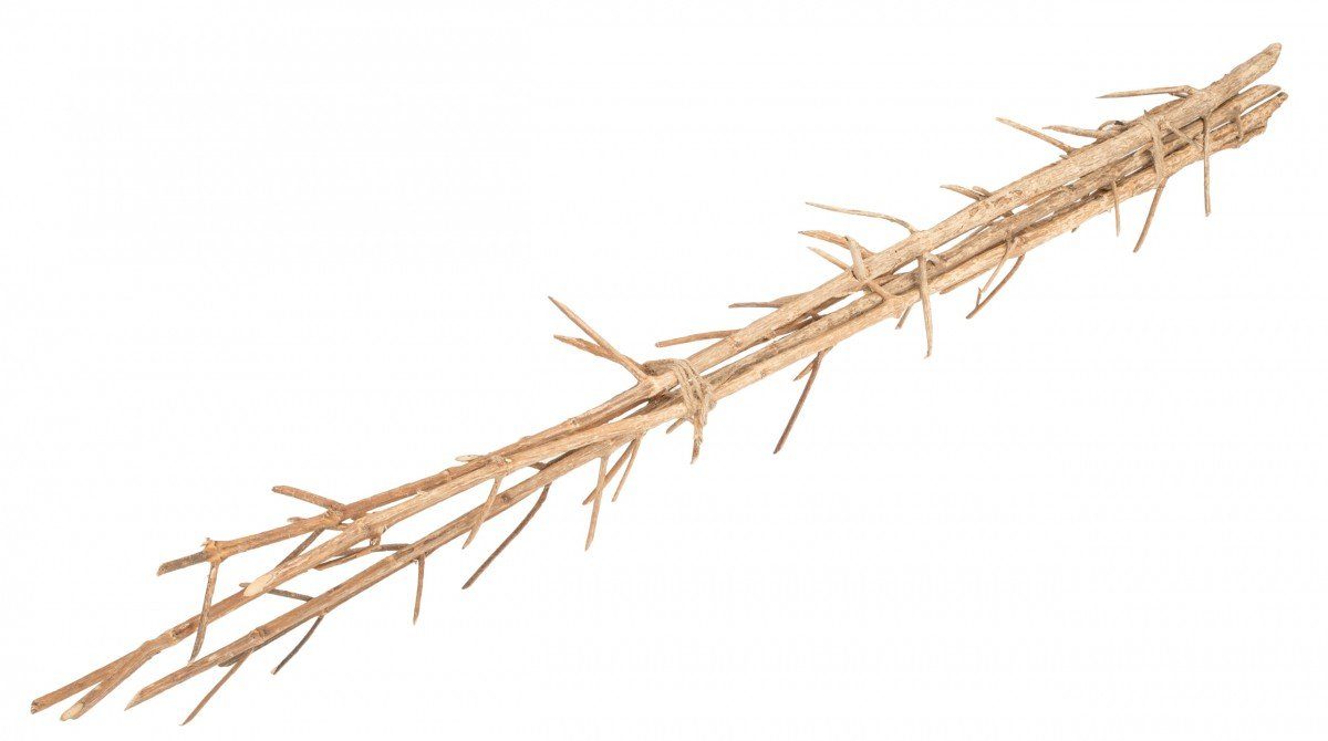 Nadeco Bastelnaturmaterial Leiter Zweig Natur 5 Stück Ca 100cm Deko Äste