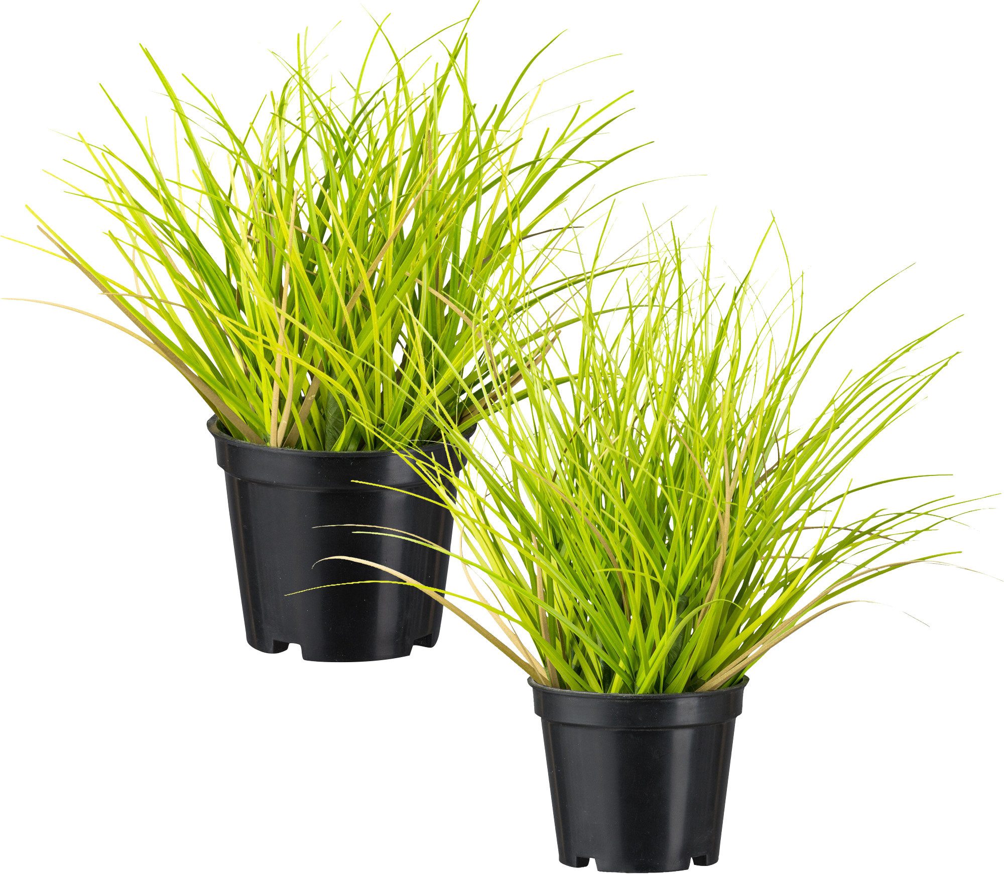 Kunstpflanze Kunstpflanze Gras 2er Set Uni