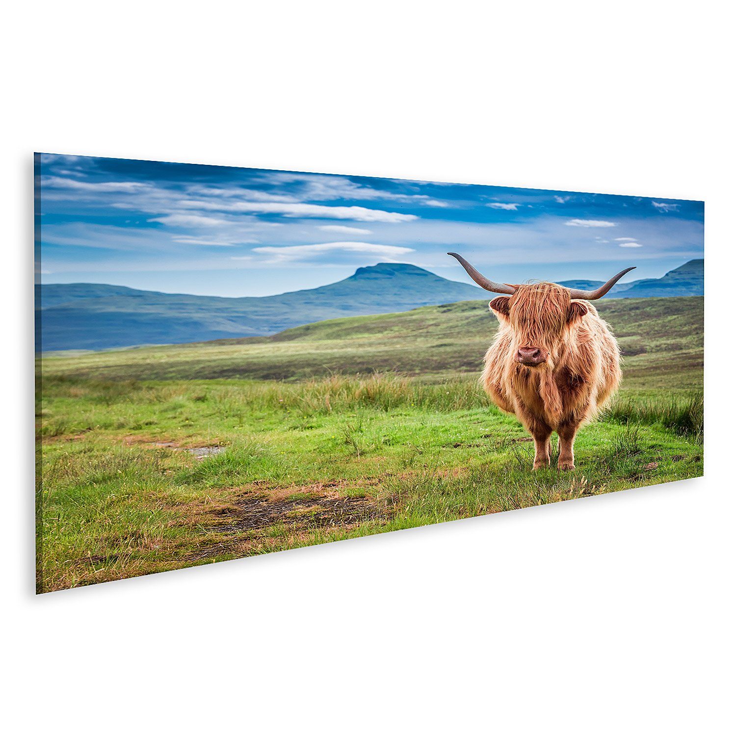 islandburner Leinwandbild Bild auf Leinwand Weidende Hochlandkuh auf der Isle of Skye Schottland
