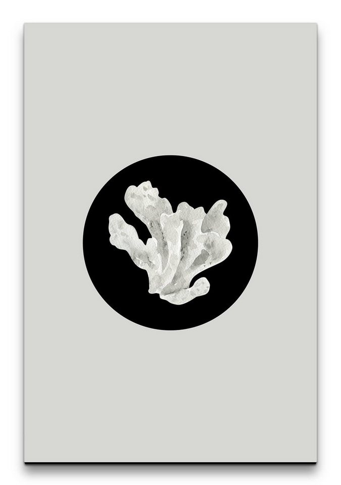 Sinus Art Leinwandbild Koralle Wasserfarben Minimalistisch Schwarzer