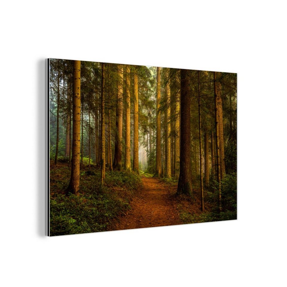 Muchowow Metallbild Wald Natur Bäume Landschaft Laub 1 St