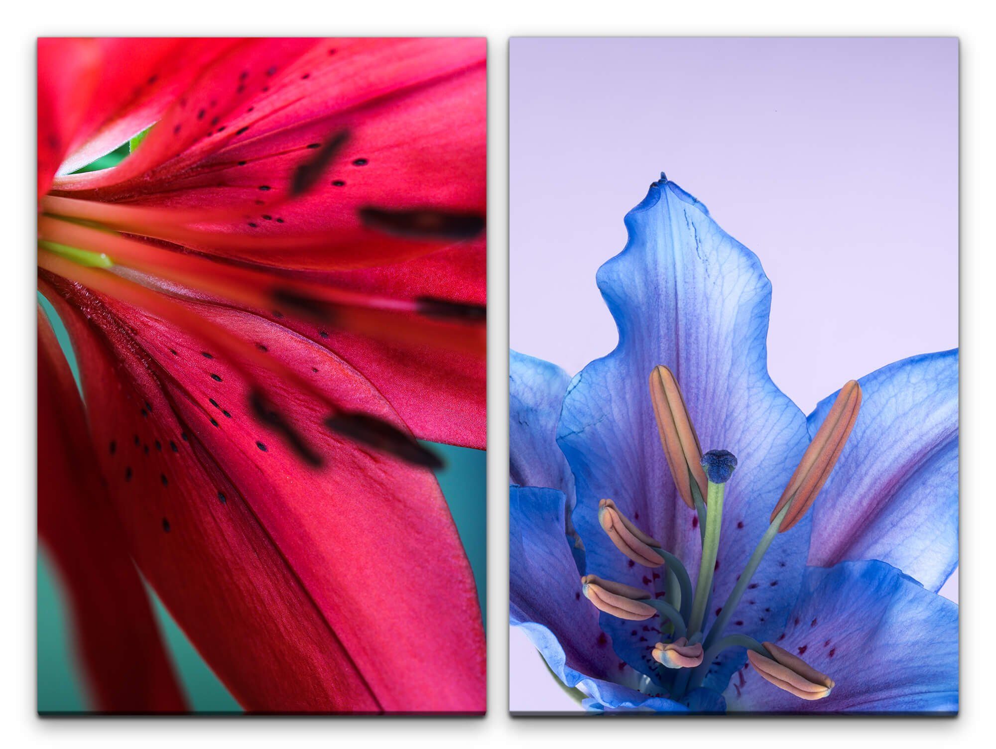 Sinus Art Leinwandbild 2 Bilder Je 60x90cm Lilien Blumen Rote Blüte