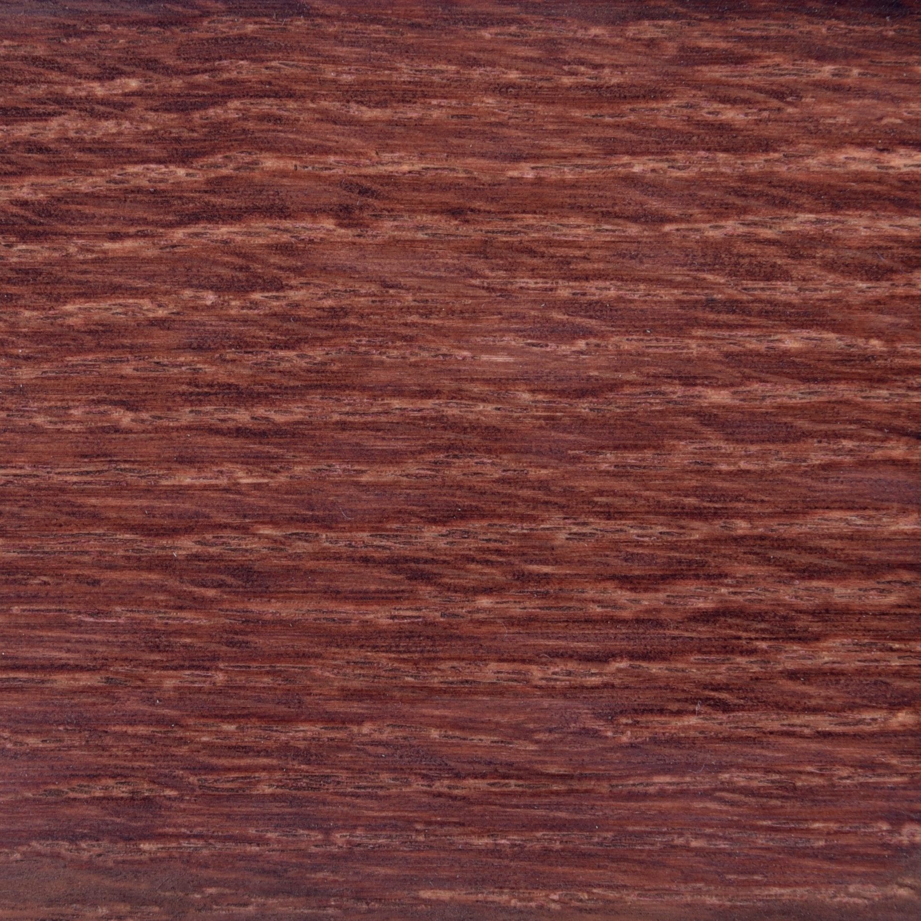 BORMA Holzbeize WACHSBEIZE 1 Liter Nussbaum hell, Dringt tief ins Holz ...