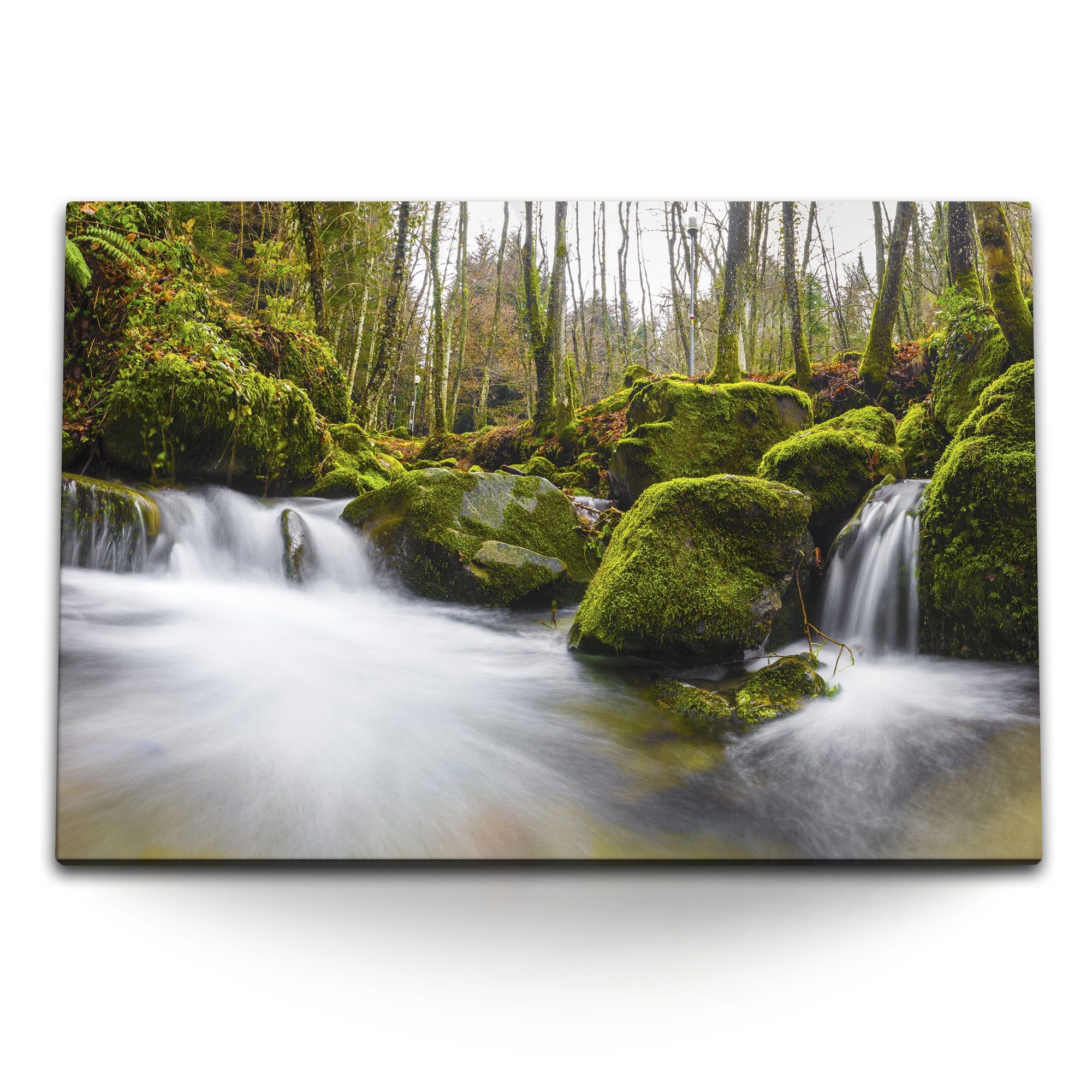 Sinus Art Leinwandbild 120x80cm Wandbild auf Leinwand Bach Wald Wasserfall Grün Moos Natur, (1 St)