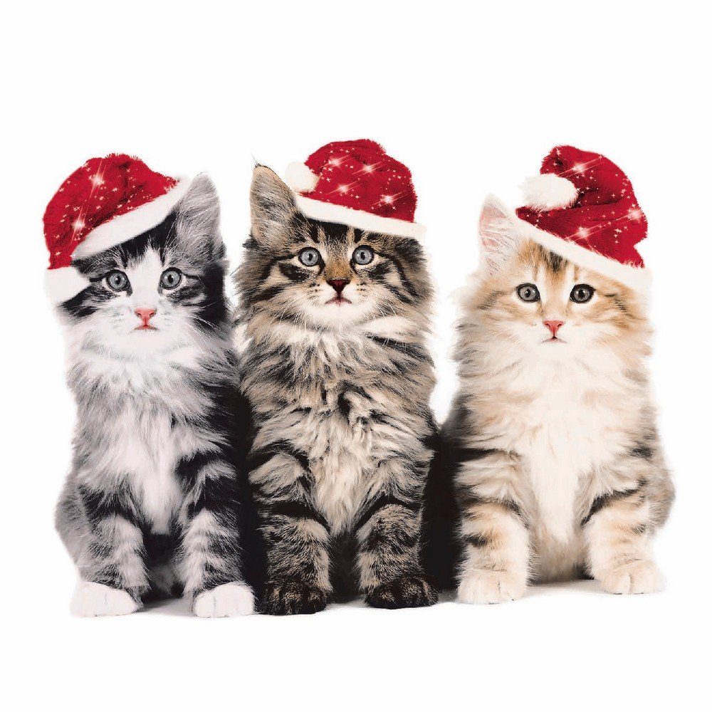 Home Fashion Papierserviette 20 Servietten Xmas Cats 33x33cm 20 St