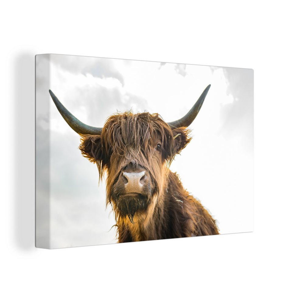 Onemillioncanvasses® Leinwandbild Schottischer Highlander Haare