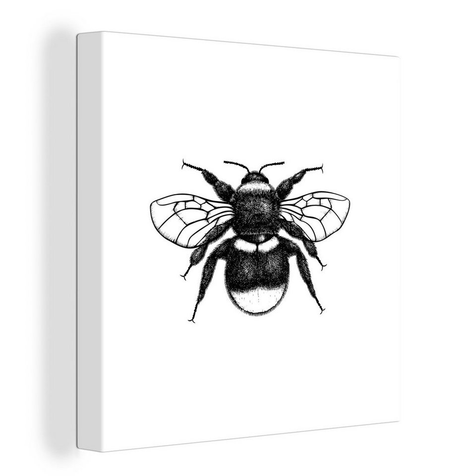 Onemillioncanvasses® Leinwandbild Hummel Botanisch Retro