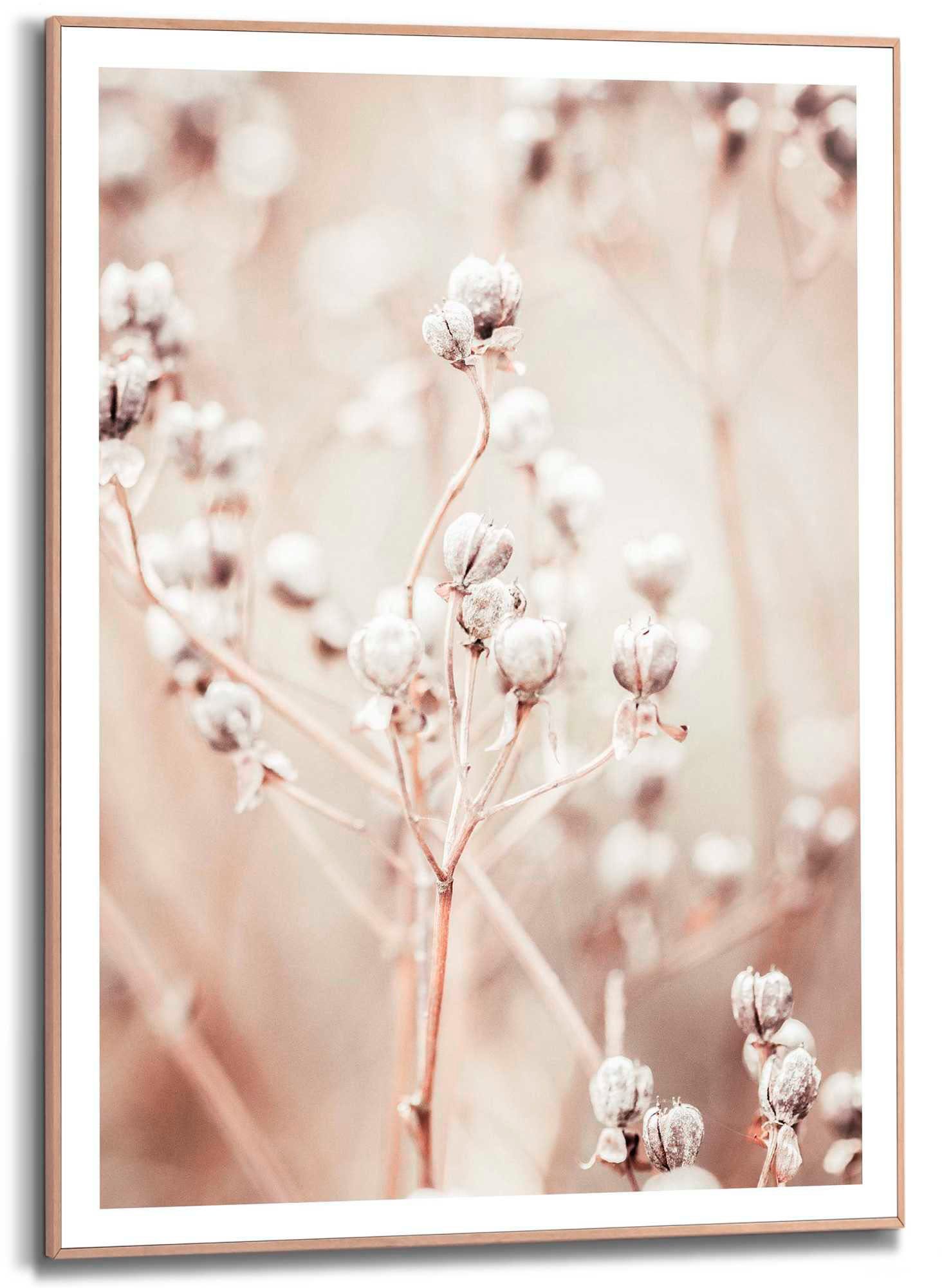 REINDERS! Poster online kaufen | OTTO