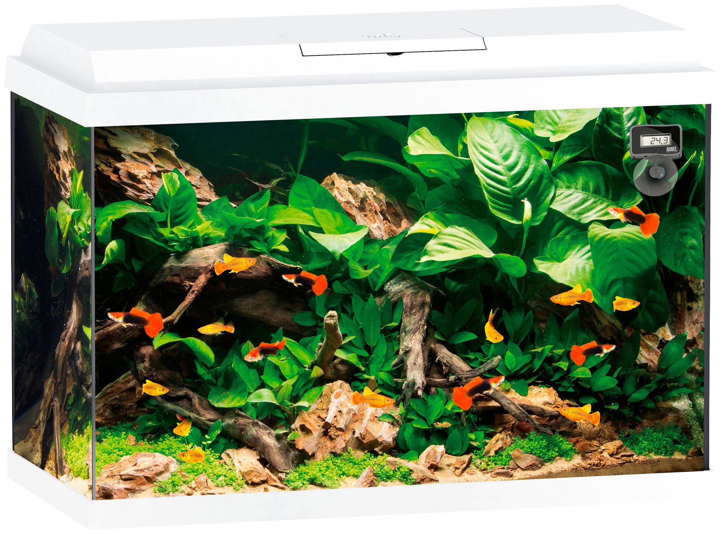 JUWEL AQUARIEN Aquarium »Primo 70«, 70 Liter, BxTxH: 61x31x44 cm, weiß ...