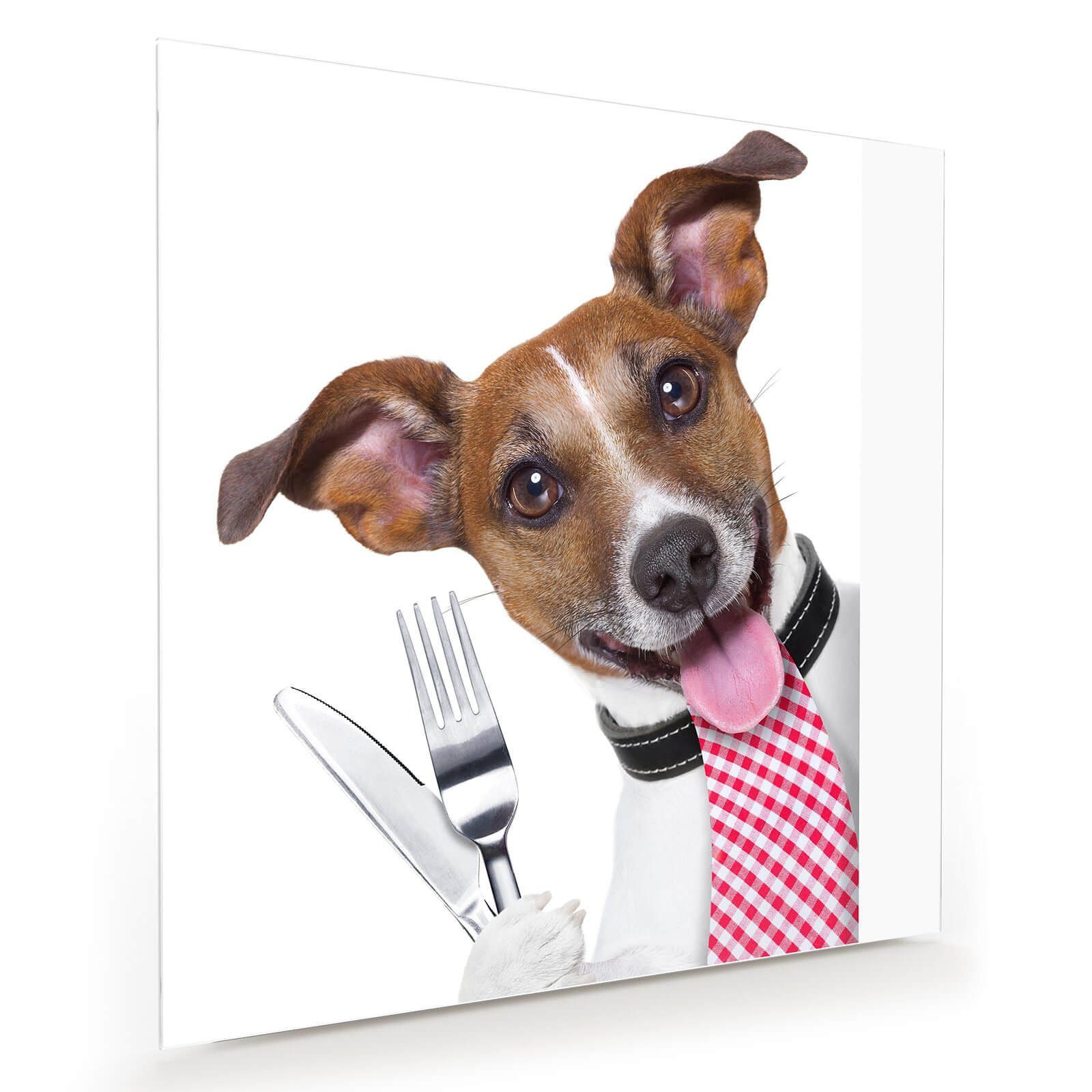 Primedeco Glasbild Wandbild Quadratisch Hund Mit Besteck In Pfote Mit