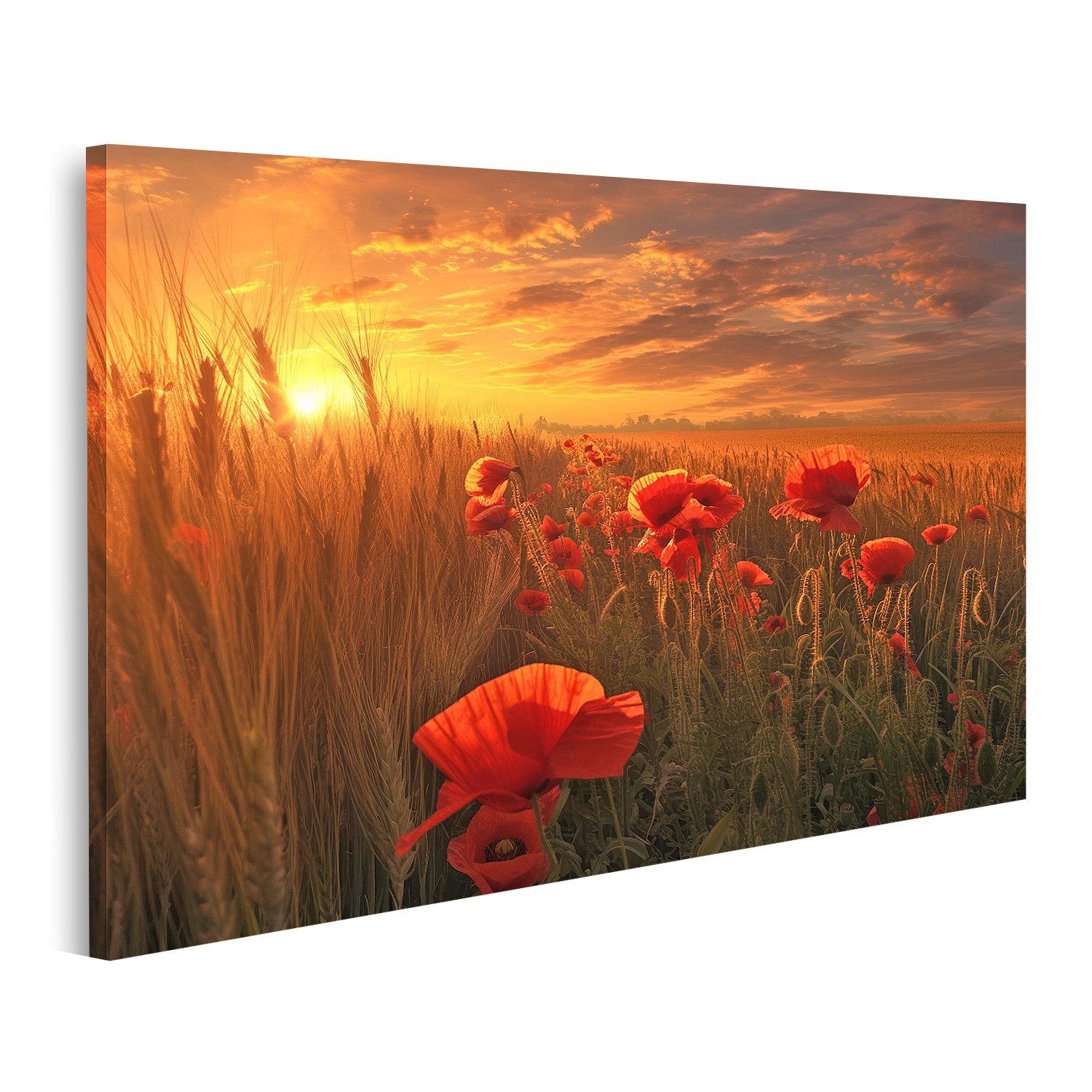 islandburner Leinwandbild, Sonnenuntergang im Mohnfeld, Format: 80x40cm