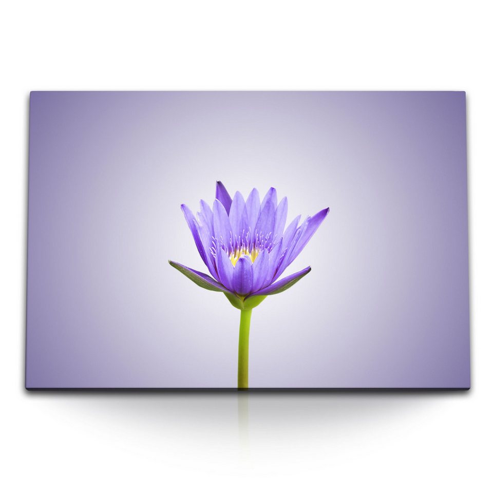 Sinus Art Leinwandbild 120x80cm Wandbild Auf Leinwand Lila Lotusblume